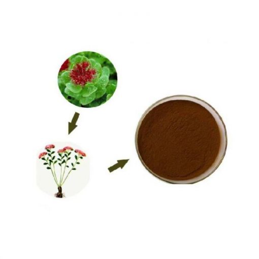 Rhodiola Rose 3% Rosavin – All About Naturals | Raw Plant Materials